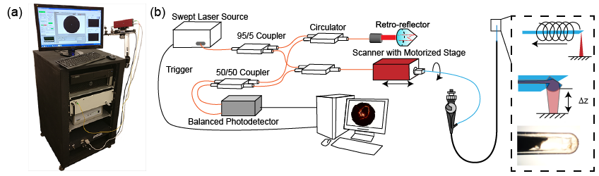 Coherence Imaging Lab -- Anatomical Optical Coherence Tomography